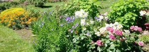 Fundamentals of Home Gardening | Master Gardener Program