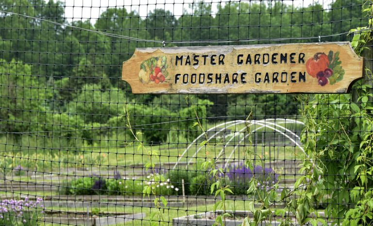 Home | Master Gardener Program