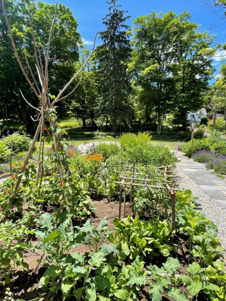 Resources | Master Gardener Program